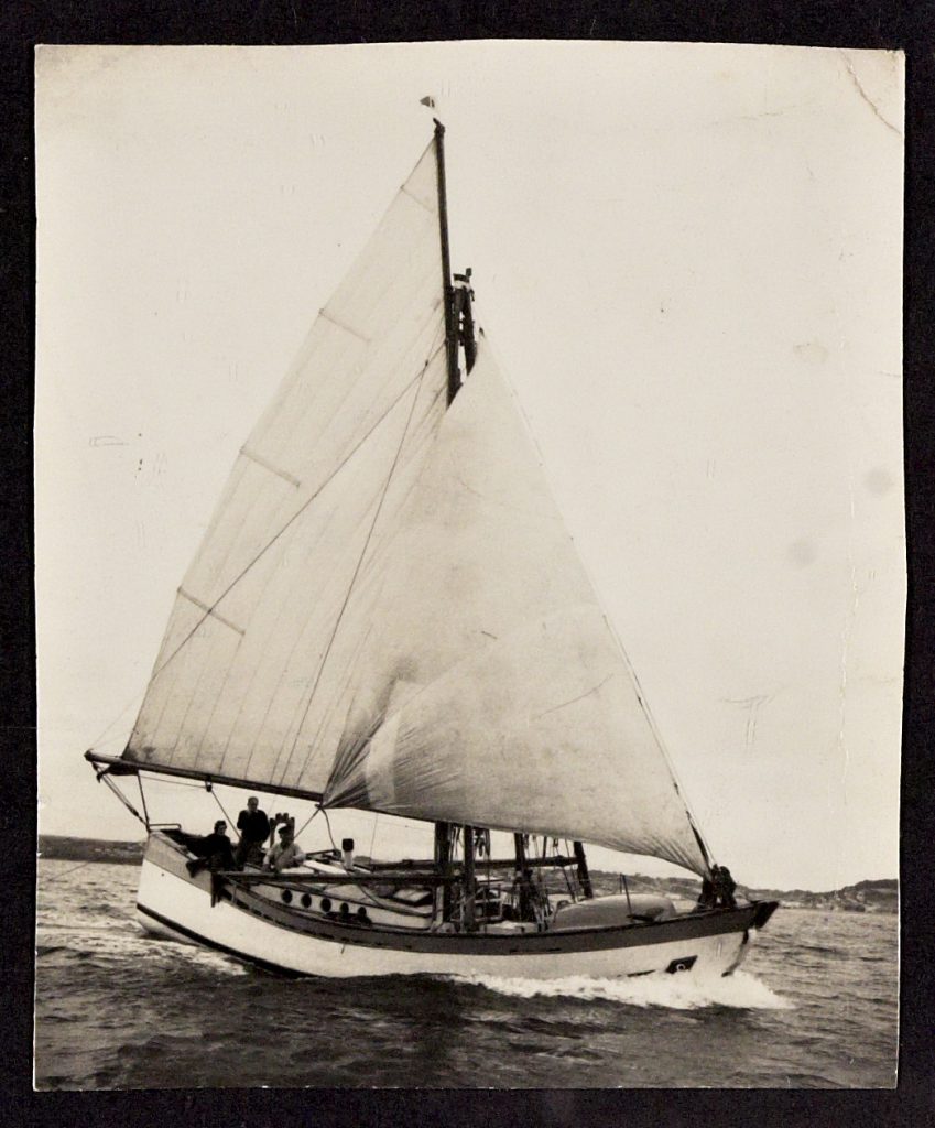 Boleh History - Boleh Trust