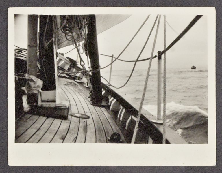 Boleh History - Boleh Trust